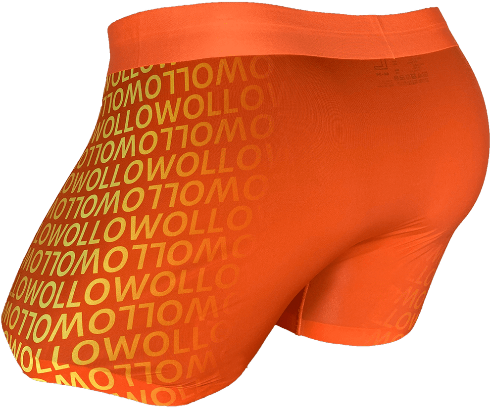 【WOLLOW-46】ナイロンボクサーパンツ – SKL ONLINESHOP